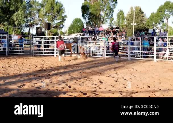Sequence of a bull riding performance at a rodeo Stock Video Footage ...