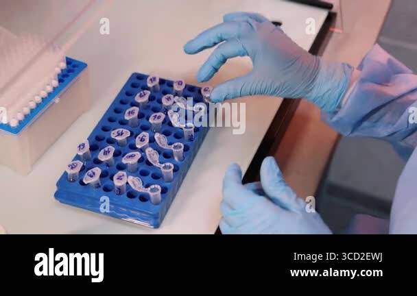 Lab technicians gloved hands move test tubes Stock Video Footage - Alamy