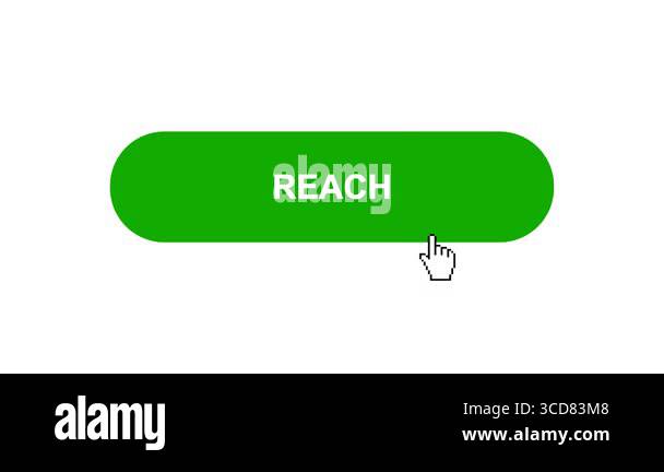 Green REACH Button Animation on White Background Click and Turns into ...