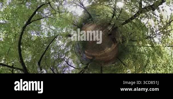 The video opens with a fisheye view of a forest from the ground . The ...