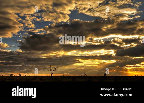 National Park during sunset. tropical trees in meadows. time lapse ...