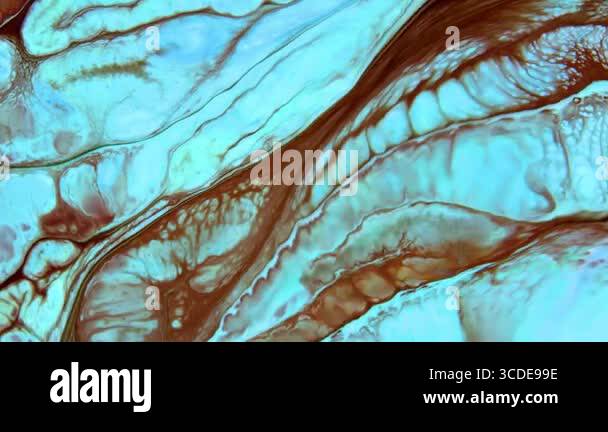Abstract Powerful Vivid Color Ink Drops Spreading in Water Texture ...