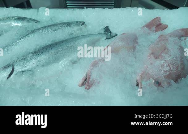 A variety of fish displayed on ice at the market for purchase Stock ...