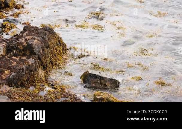 Washing zone Stock Videos & Footage - HD and 4K Video Clips - Alamy