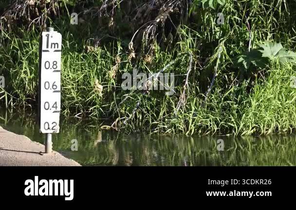 Water level gauge in a forest stream Stock Video Footage - Alamy