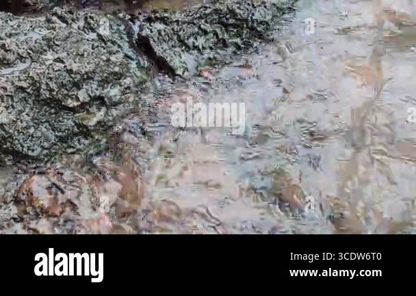 Waves eroding rocks in a national park Stock Video Footage - Alamy