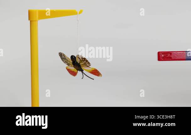 A butterfly model reacts to a magnet's force, illustrating attraction ...