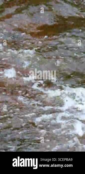 Rapid water movement over rocks in a natural stream. Captured in ...
