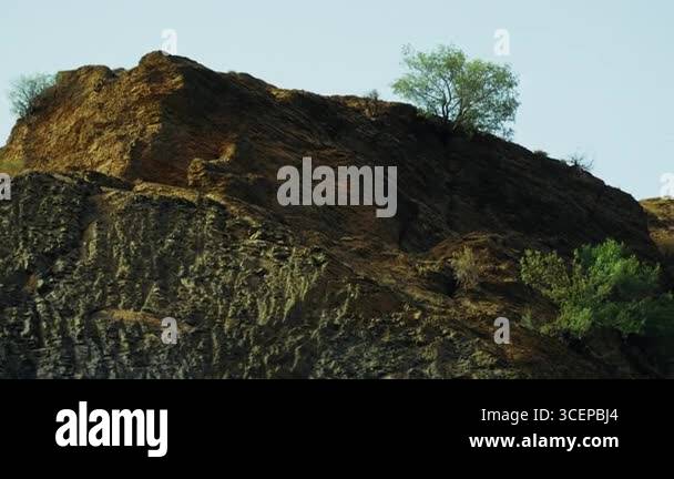 Green Trees On The Mount Atlas Stock Video Footage - Alamy