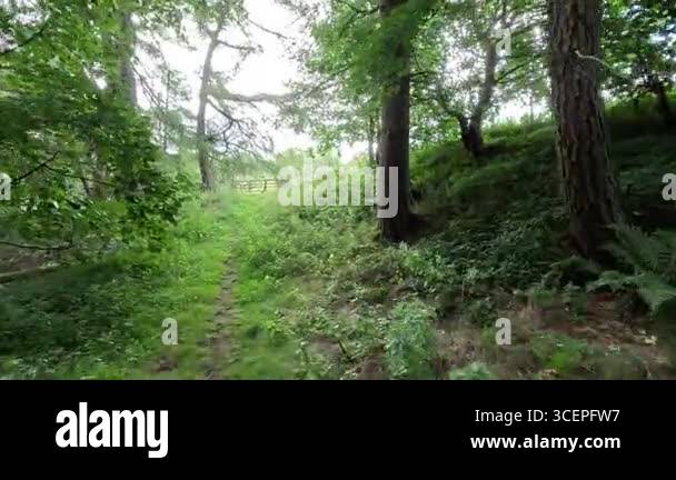 Scotland: Walking through Habbies Howe in the Scottish Borders, a ...