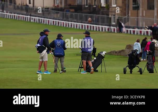 Golfers preparing for a shot on the course Stock Video Footage - Alamy