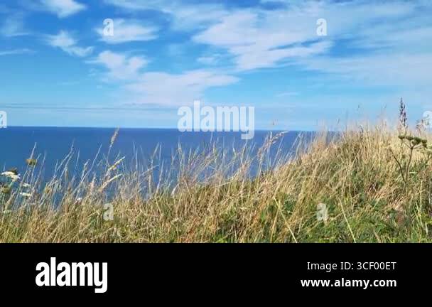 Tranquil coastal scene featuring a grassy cliff overlooking a vast ...