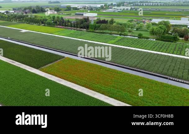 Warmond, South Holland, Netherlands - 09.06.2025: Aerial view of a lush ...