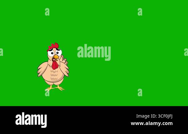 Scared Rooster Pop-Up Animation on Green Screen Funny Chicken Clip ...