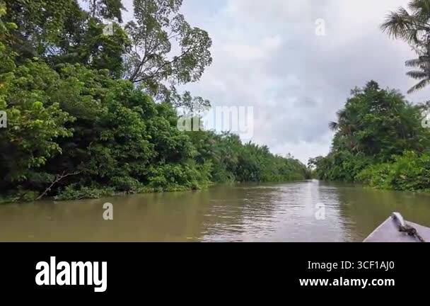 River boat tour on the Guama River at Belem do Para, a city on the ...