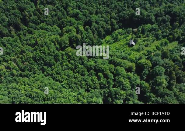Aerial view of lodge environment of mixed green forest treetops on a ...