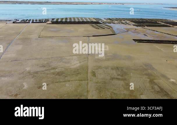 Ria Formosa riverbed at low tide, with shellfish production and yachts ...