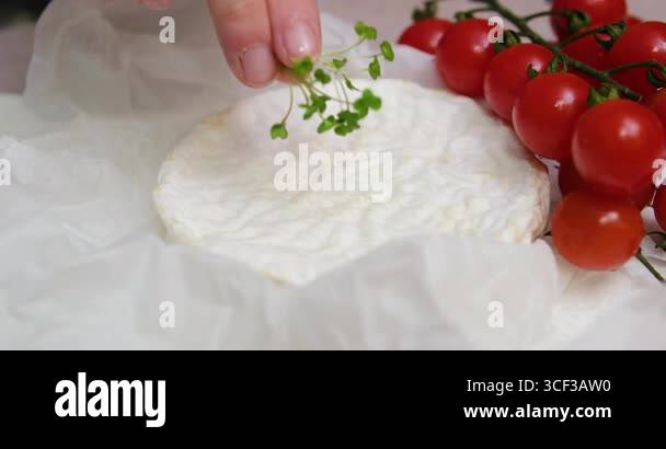 tomato, rotation in circle. Burrata, slices of tomato, green basil ...