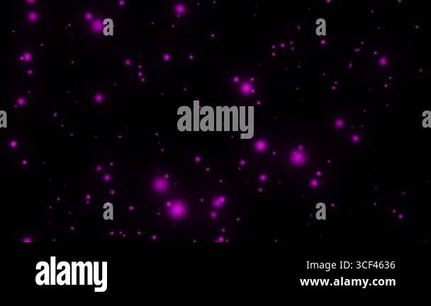 seamless loop animation of sparkling pink, purple particles. Black ...