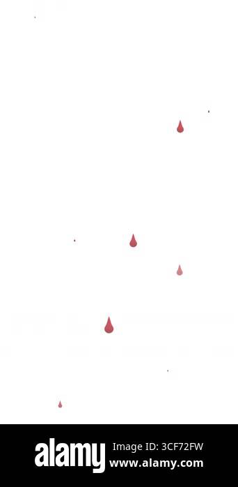 Animation of drops of blood falling on white background. blood donor ...