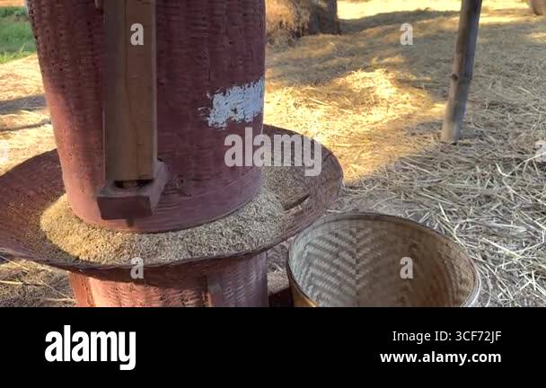 Manual rice milling process in rural Thailand Stock Video Footage - Alamy