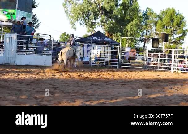 Bull rider competes at a lively outdoor rodeo event Stock Video Footage ...