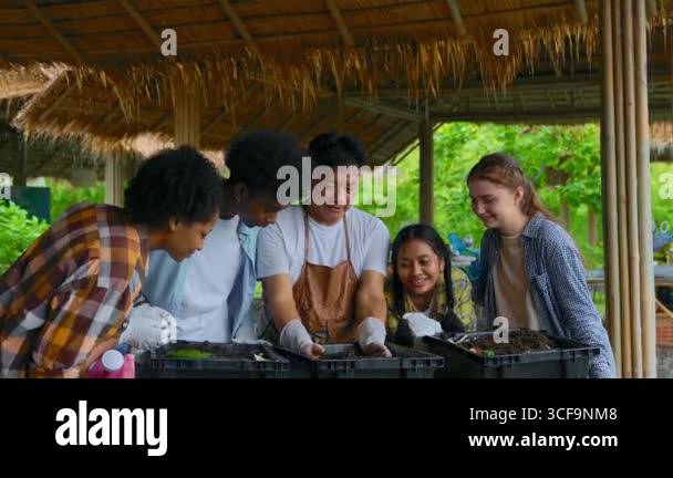 A group of agricultural students are studying soil in their organic ...