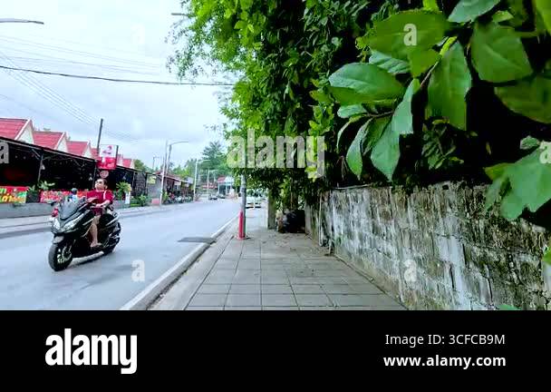 A serene street in Koh Samui with lush greenery and minimal traffic ...