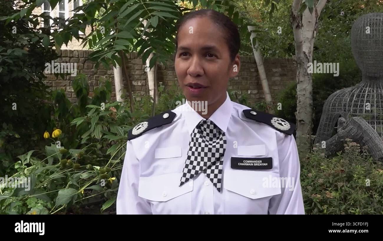 Met makes 100 arrests ahead of Notting Hill Carnival in bid to deter ...