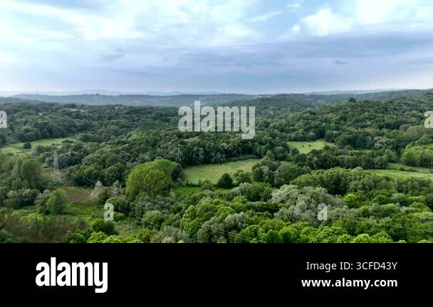 Crossed oak Stock Videos & Footage - HD and 4K Video Clips - Alamy