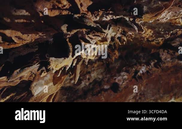 Detailed image showcasing the natural beauty and complex textures of ...