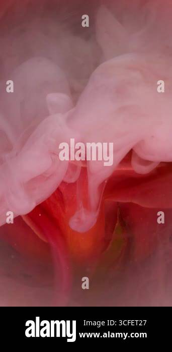 Vertical video. Smoke swirl. Art nature. Round haze smooth spill pink ...
