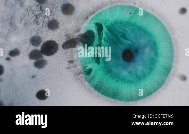 Paint blotch. Grunge blob. Gray blue drops fall on liquid surface mix ...