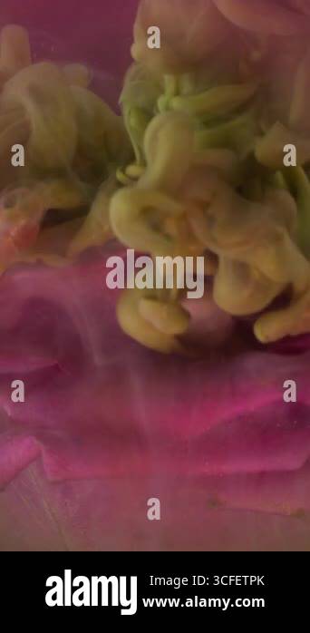 Vertical video. Smoke explosion. Mist flower. Elegant live natural glow ...