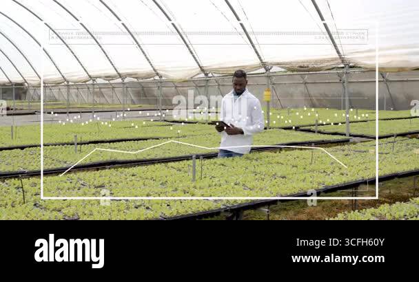 Plant scientist operating tablet in greenhouse, generating animated ...