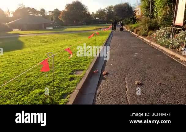 Visitors walking along a zoo pathway Stock Video Footage - Alamy