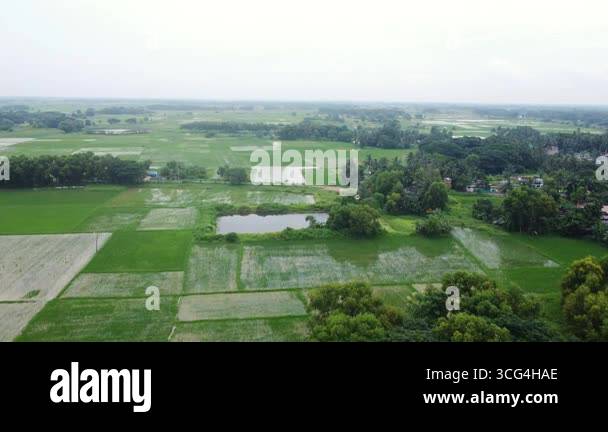 Asia farming landscape Stock Videos & Footage - HD and 4K Video Clips ...