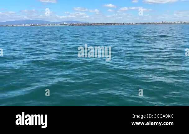 Boat-based dolphin-watching off Lagos, Portugal, capturing wild ...