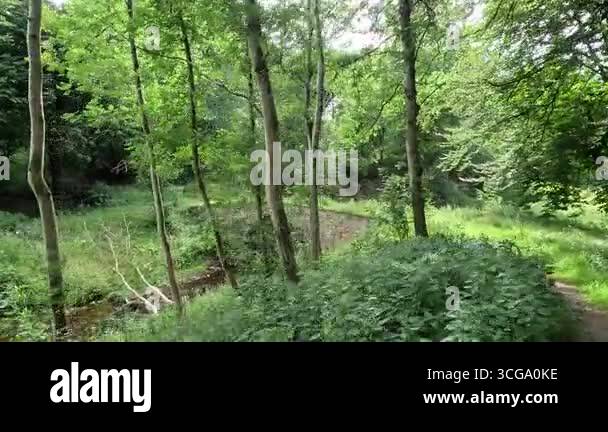 Scotland: Walking through Habbies Howe in the Scottish Borders, a ...