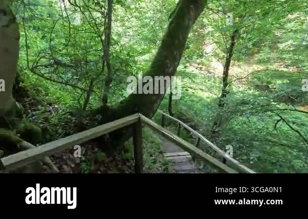 Scotland: Walking through Habbies Howe in the Scottish Borders, a ...