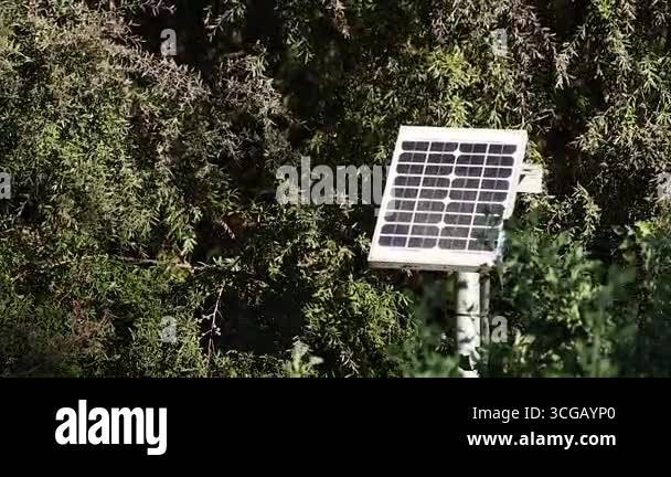 Solar panel amidst lush greenery Stock Videos & Footage - HD and 4K ...