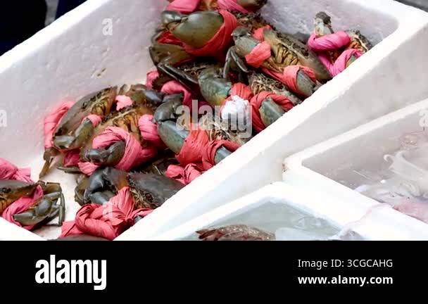 Seafood market organization Stock Videos & Footage - HD and 4K Video ...