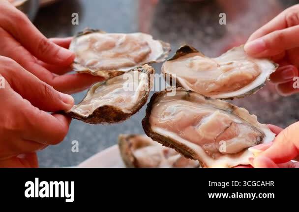 Hands carefully handling fresh oysters in Chonburi Stock Video Footage ...