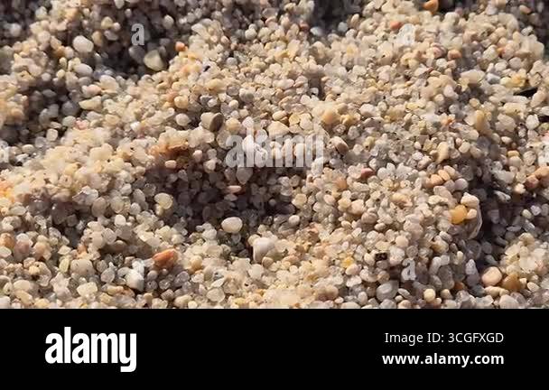 Texture detail coarse sand Stock Videos & Footage - HD and 4K Video ...