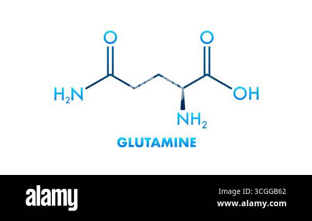 Glutamine structural formula amino acid Stock Videos & Footage - HD and ...