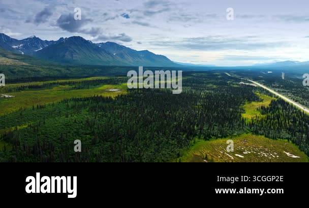 Green pine tree woods grow in the valley in the wilderness of Alaska ...