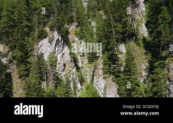 Exploring a lush forested mountainside. A stunning view of a rocky ...