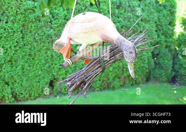 Hanging goose on swing garden Stock Videos & Footage - HD and 4K Video ...