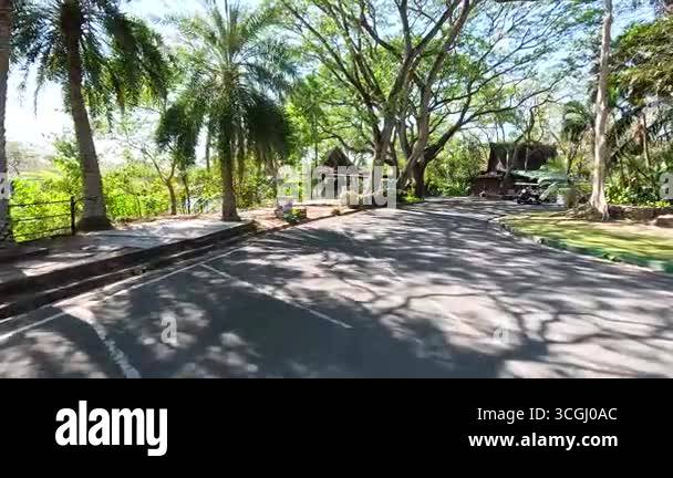 A peaceful drive through lush greenery Stock Video Footage - Alamy