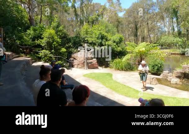 Zookeeper presenting to an engaged audience Stock Video Footage - Alamy